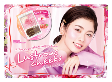 Makeup Style – CANMAKEUSA